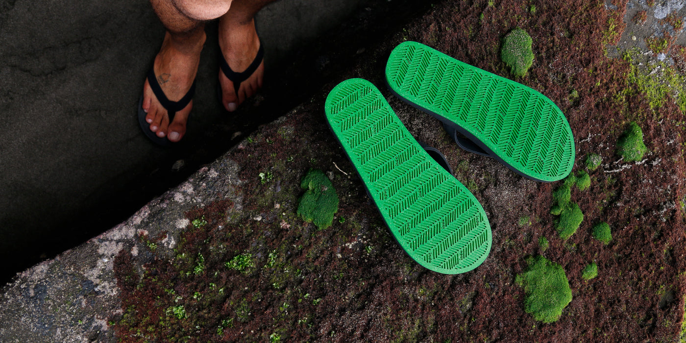 Indosole Indonesia